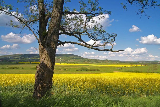 Vienna-Budapest One-Way Sightseeing Transfer - Who Would Love This Tour?