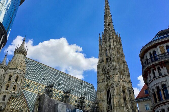 Vienna Christmas Tour - What to Expect: The Experience in Detail