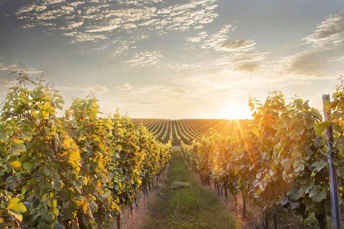 Vienna-Prague One-Way Sightseeing Tour Bus - Transportation and Group Size