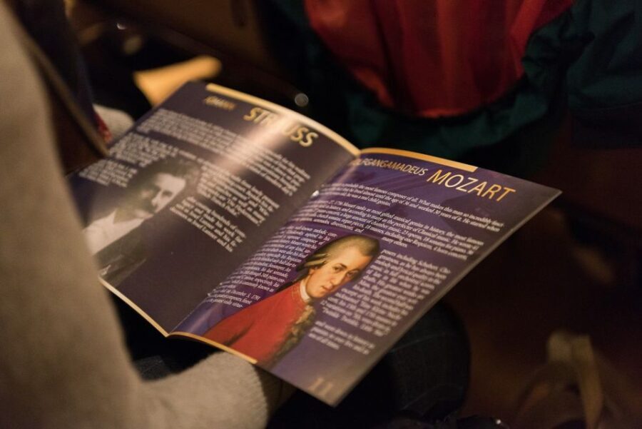 Vienna Supreme Orchestra at Palais Niederösterreich - The Musical Program: What Will You Hear?