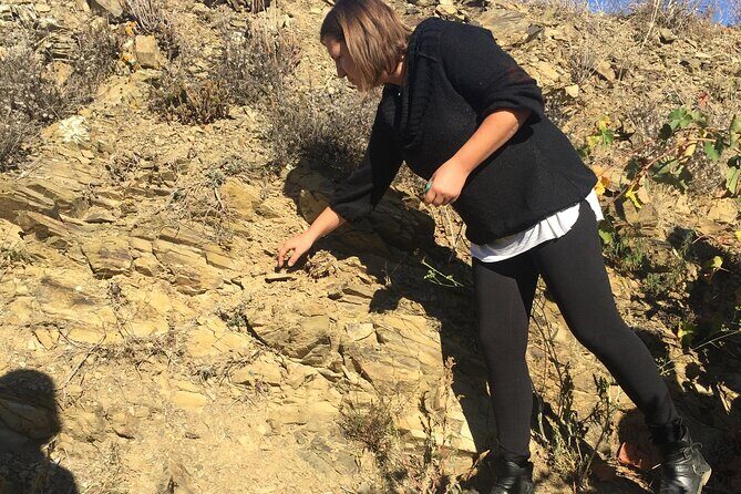 Vienna Wine Experience - Who Should Book This Experience?