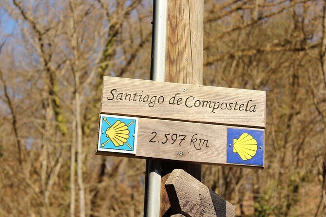 Vigo Santiago de Compostela Shore Excursion with Guide - Transportation & Group Size