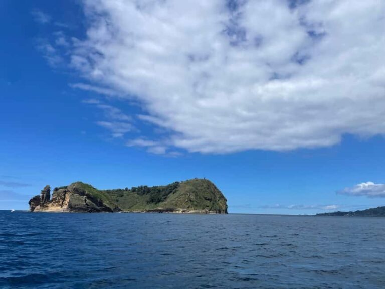 Vila Franca do Campo: Marine Life & Bird Watching & Islet Tour - Detailed Breakdown of the Itinerary
