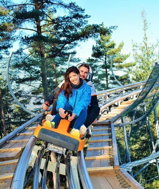 Vila Real: Pena Adventure Park Entry Ticket - A Deep Dive into the Pena Adventure Experience