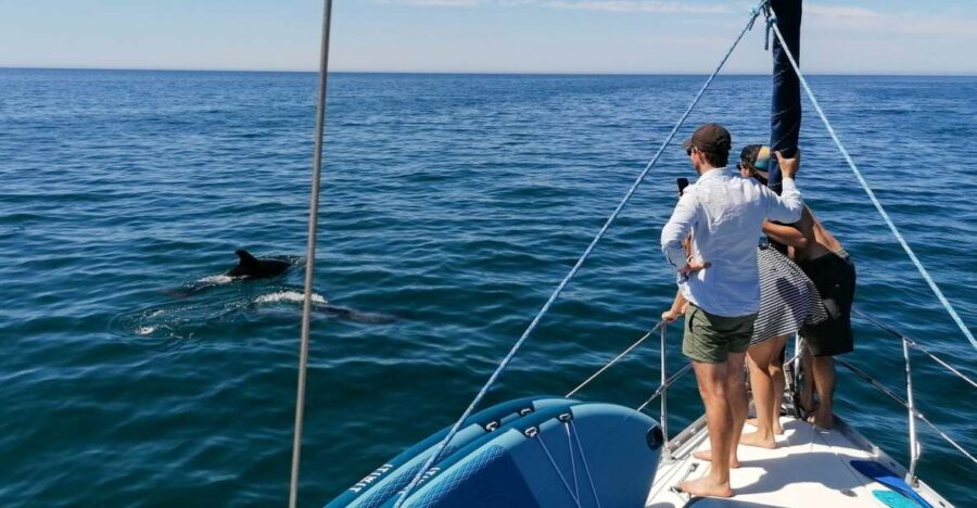 Vilamoura: Coastal Cruise on a Luxury Sailing Yacht - An In-Depth Look at the Vilamoura Coastal Cruise