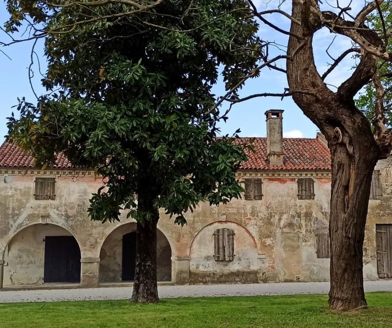 Villa Bogdano 1880: Guided Winery Tour and Tasting - Who Should Consider This Tour?