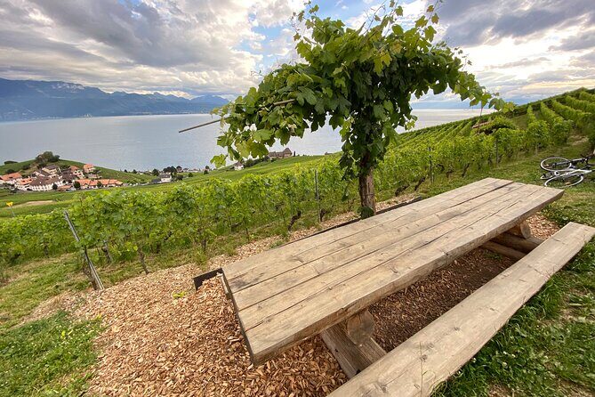 Vine Stories: Lavaux & Lutry wine walk - Who Is This Tour Best For?