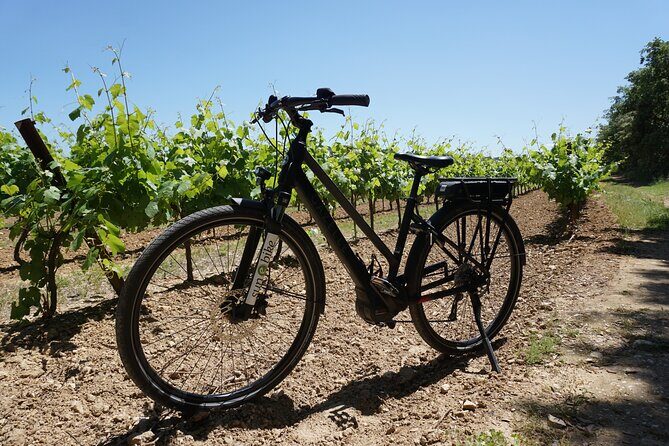 Vineyard of the Alpilles by bike - Practical Details and Value