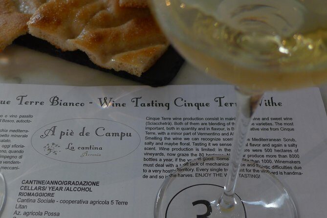 vineyard tour & wine tasting - Who Will Love This Tour?