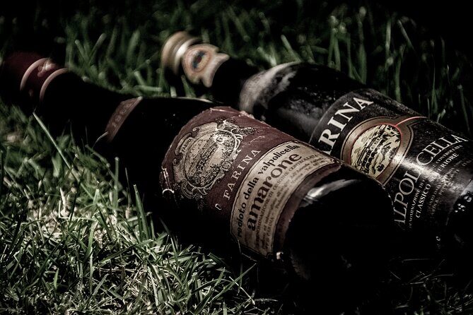 Vineyard Tour with Light Lunch in Valpolicella - Why This Tour Is a Great Choice