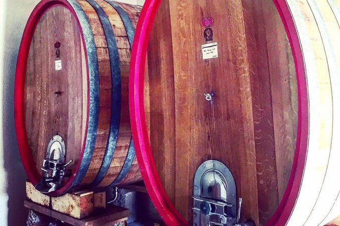 Vineyard visit in Gyropode, visit of Cave & Tasting Wines of Bandol - What Sets This Tour Apart