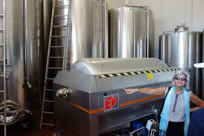 Vineyard visit with local appetisers and wine tasting - The Value of This Vineyard Experience