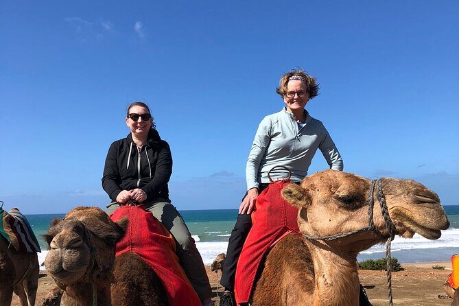 Vip Full Day Private Tangier Tour From Malaga All Inclusive - What Travelers Say About Their Experience