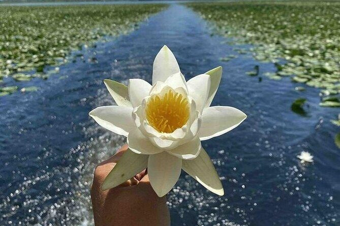 Virpazar Skadar Lake National Park Guided Boat Tour - What This Tour Means for You