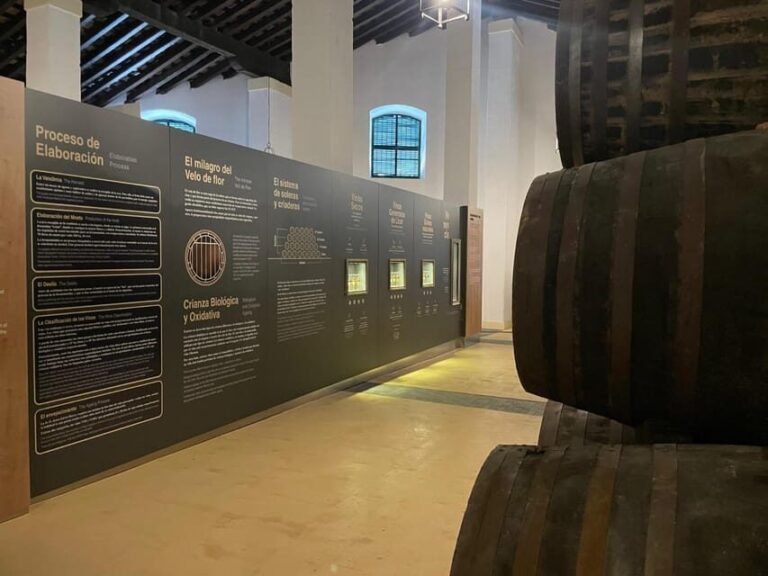 Visit a century-old winery in the centre of jerez - What makes this tour stand out?