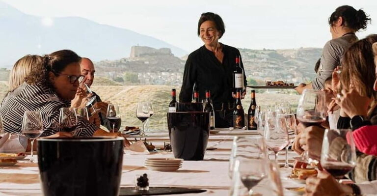 Visit a wine cellar, a wine museum and a traditional meal - What Sets This Tour Apart?