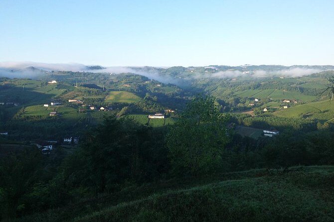 Visit among vineyards and wine cellar with wine tasting in Nizza Monferrato - Who Should Consider This Tour?