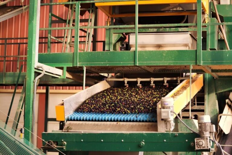 Visit an almazara + extra virgin olive oil tasting: Baeza - The Real Value of This Tour