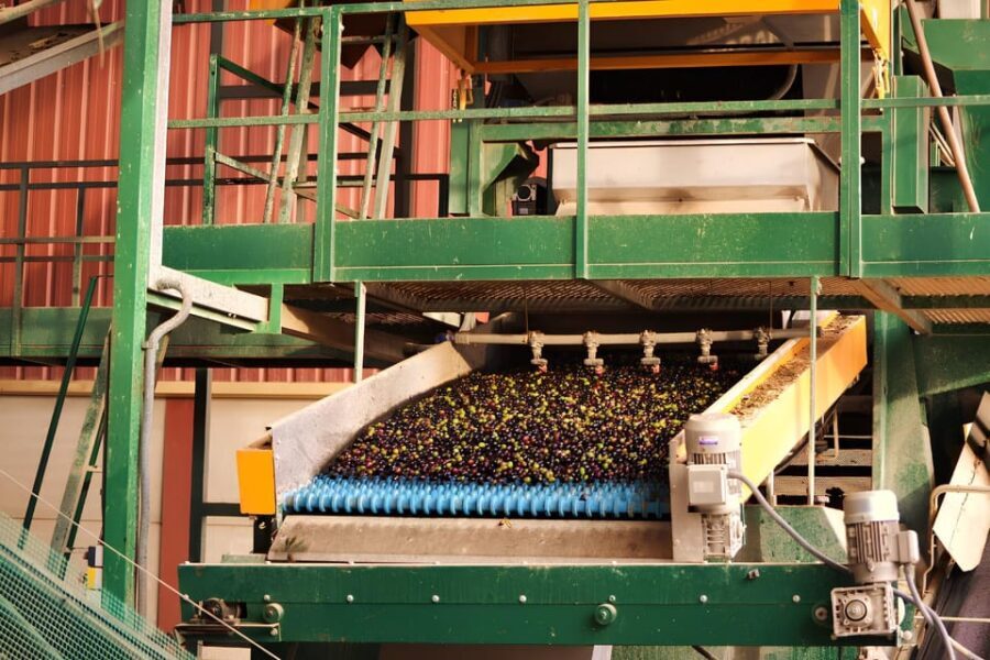 Visit an almazara + extra virgin olive oil tasting: Baeza - The Real Value of This Tour