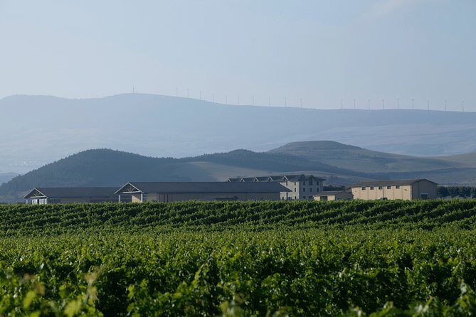 Visit and tasting in Otazu - The Sum Up