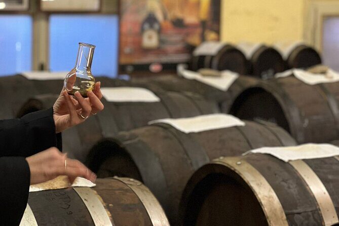 Visit and Tasting of Traditional Balsamic Vinegar of Modena - Who Should Consider This Tour?