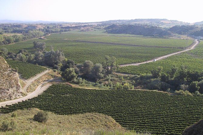 Visit and wine tasting at BODEGA PIRINEOS - Final Verdict