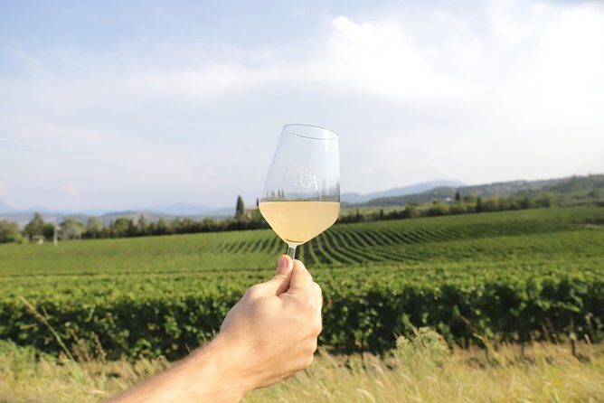 Visit and wine tasting at Tenuta La Cà - The Tasting Experience and Food Pairings