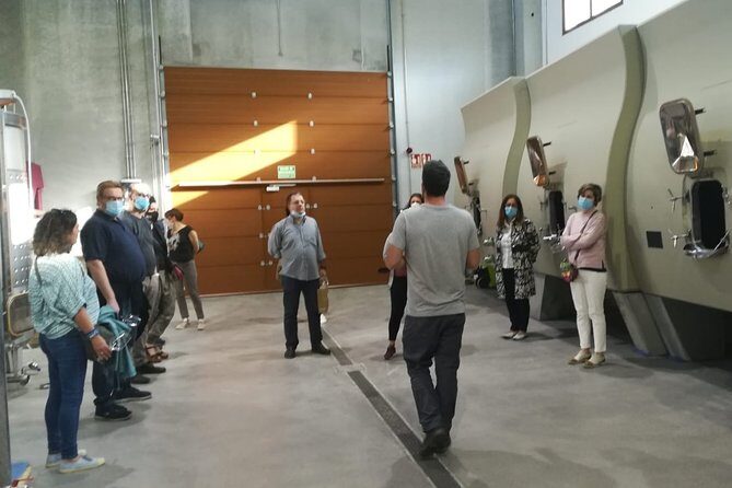 Visit and Wine Tasting at the Territorio Luthier Winery - The Tasting Experience: Wines and Snacks