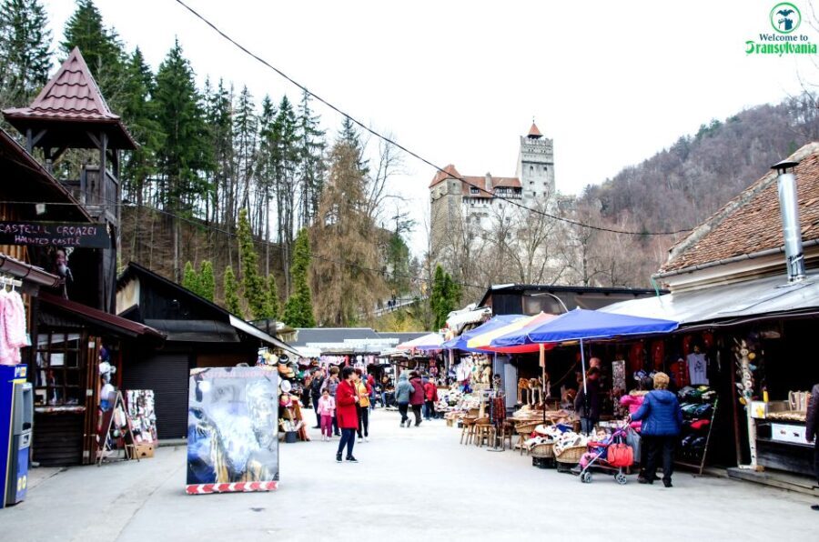 Visit Bear Sanctuary and Bran Castle from Brasov - The Value of This Tour
