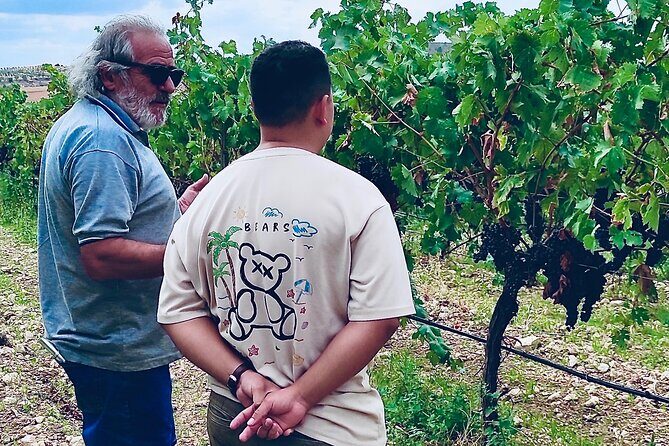 Visit Cuenca and a Vineyard in Spanish Tuscany from Madrid - What Travelers Love About This Tour