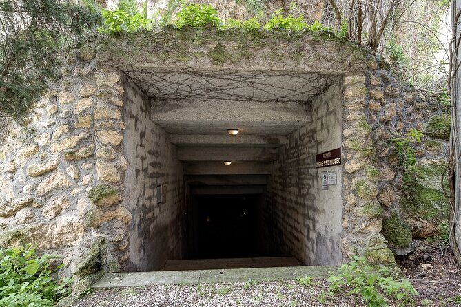 Visit the Etruscan underground Heritage Site of Tarquinia - What You Can Expect on This Tour