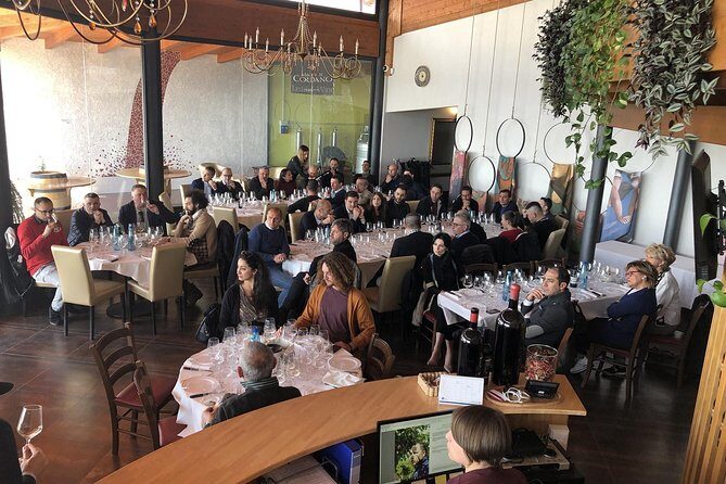 Visit the Marchesi de Cordano winery and taste its wines - Who Should Consider This Tour?