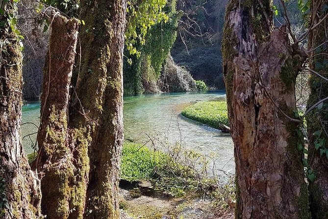 Visit The National Park of Blue Eye and The Fortress of Lekuresi - Exploring the Itinerary: What You Can Expect