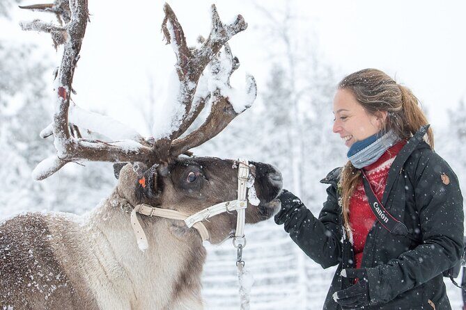 Visit the Sami and Reindeer in a Day Trip from Abisko - Final Thoughts: Who Should Consider This Tour?