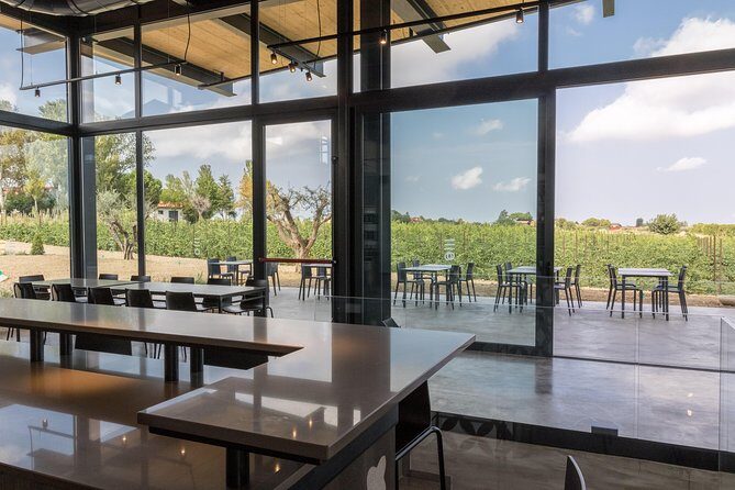 Visit to the cellar and tasting - A Close Look at the Experience