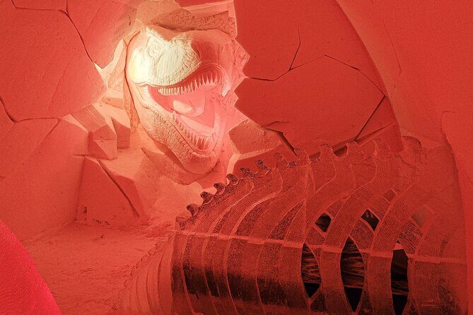 Visiting package: Guided Tour at Arctic Snow Hotel - Who Will Enjoy This Tour?