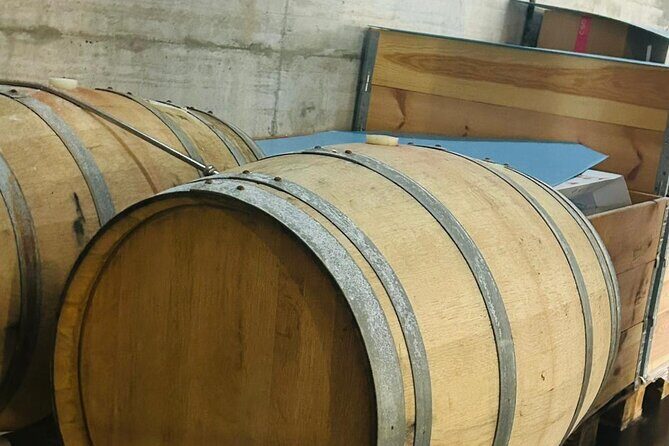 Volcano Etna Tour Wine Tasting Lunch in the Cellar Transfer - What Makes This Tour Stand Out?