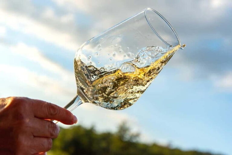 Volterra: Winery Guided Tour and Experience with Tasting - The Scenic View from the Panoramic Terrace