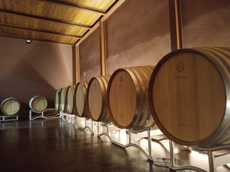 Volterra: Winery Tour with Tastings and Panoramic Views - Practical Details and Tips