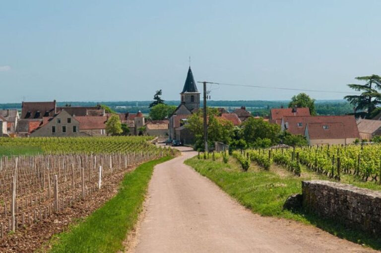 Vosne-Romanée: Private Vineyards Walking Tour with Tasting - An In-Depth Look at the Tour