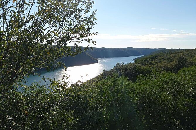 Vrsar, Lim Fjord and Rovinj Day Tour by Boat with Drinks - A Deep Dive into the Experience