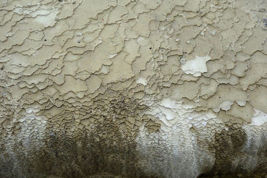 Walking trail past thermal pools at Wai-O-Tapu