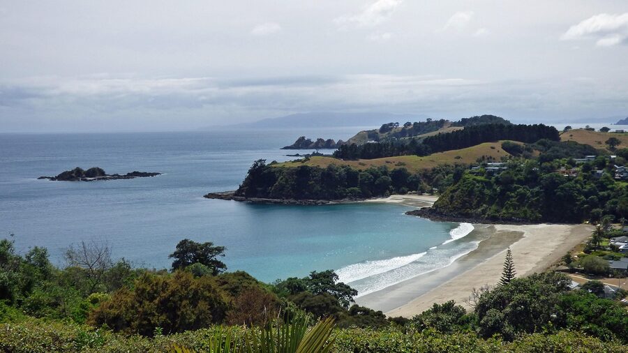 Little Palm Beach Waiheke Island black sand cove