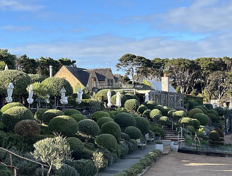 Mudbrick Restaurant on Waiheke Island