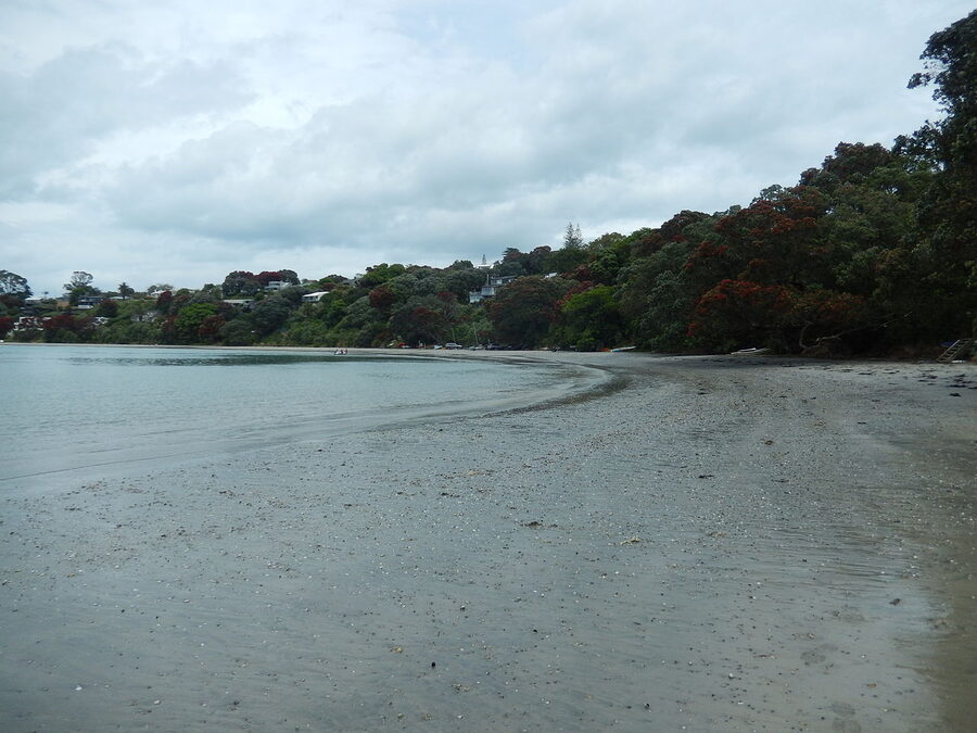 Oneroa Beach Waiheke Island