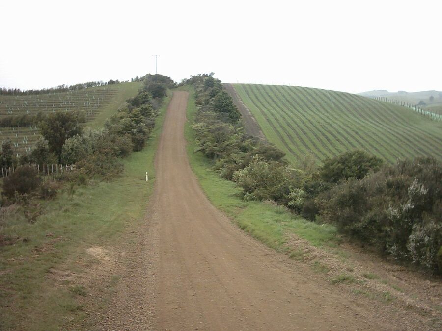 Gravel road through Waiheke Island vineyards