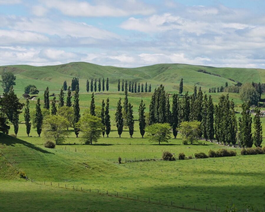Waikato countryside seen from SH3 between Auckland and Hobbiton