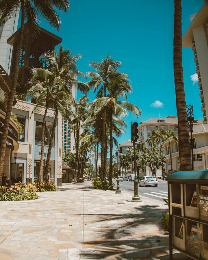 Urban street in Waikiki lined with palm trees under clear blue sky