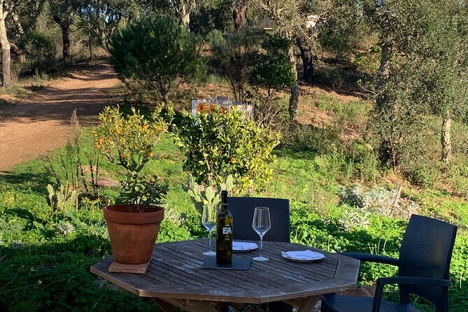 Walk in the Hills with Goat Herder-Local Honey, Wine and Cheese Tasting - Tasting the Flavors of the Land