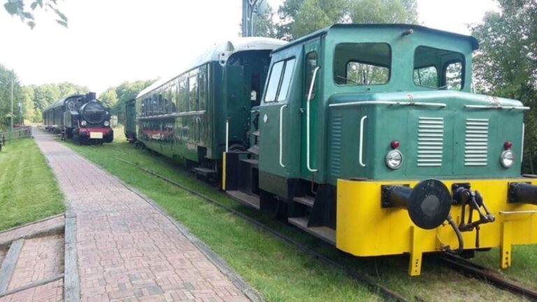 Warsaw: Bialowieza National Park and European Bison Tour - Arriving in Bialowieza Village: Gateway to the Primeval Forest